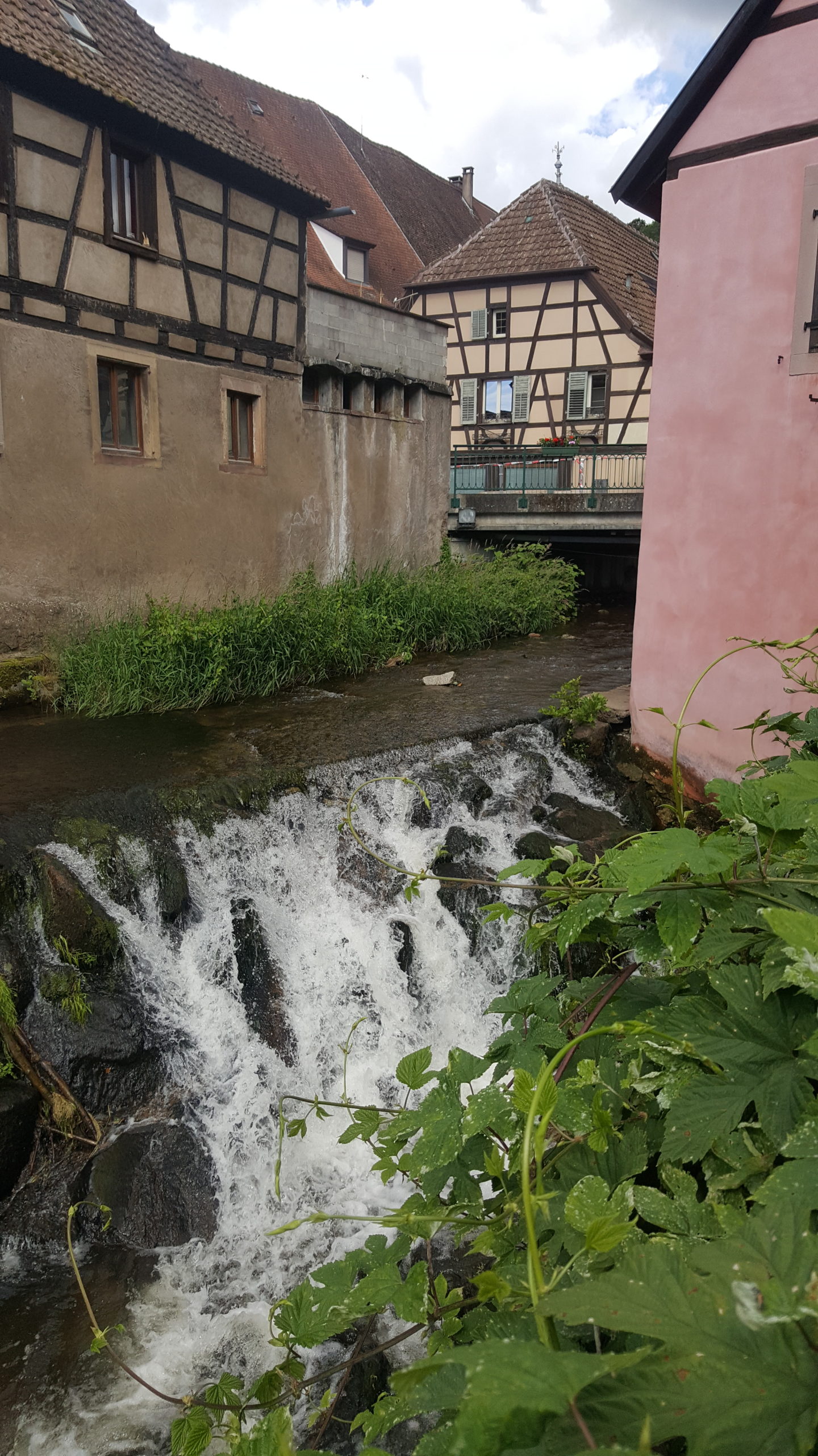 Bienvenue à Andlau - Andlau